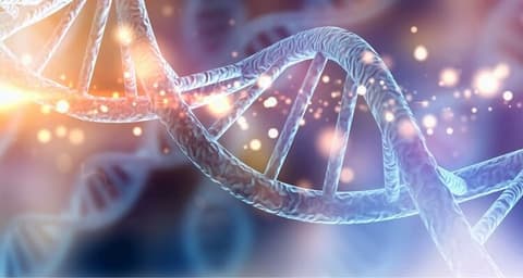 Hiperteloryzm – co to jest? Jakie są przyczyny? | Diag.pl
