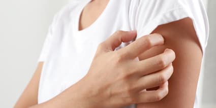 Ugryzienie pająka – jak je rozpoznać? Co robić? | Diag.pl